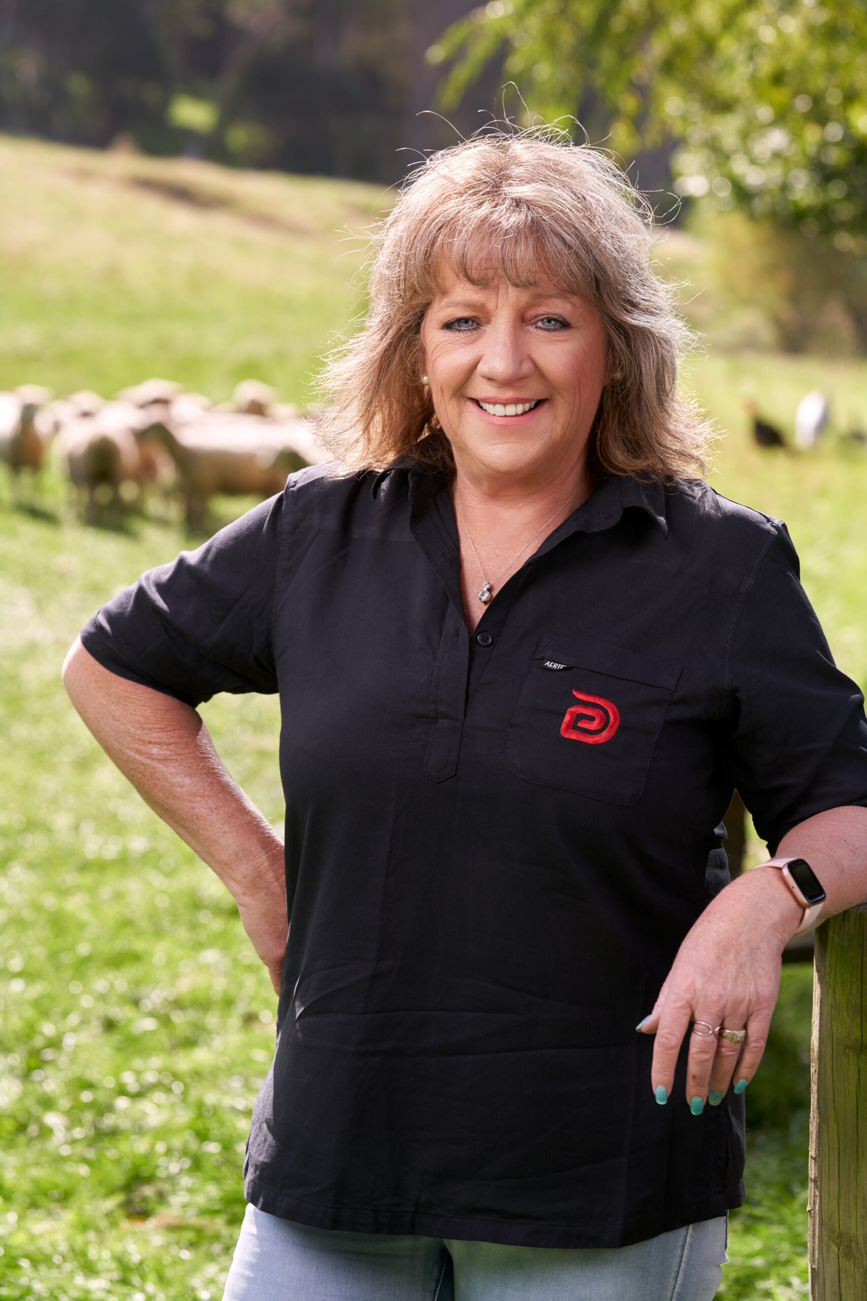 Lamb Meat Exporters New Zealand | Contact Us | Davmet